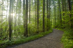 Home - Daniel Struble LCSW, LCADC